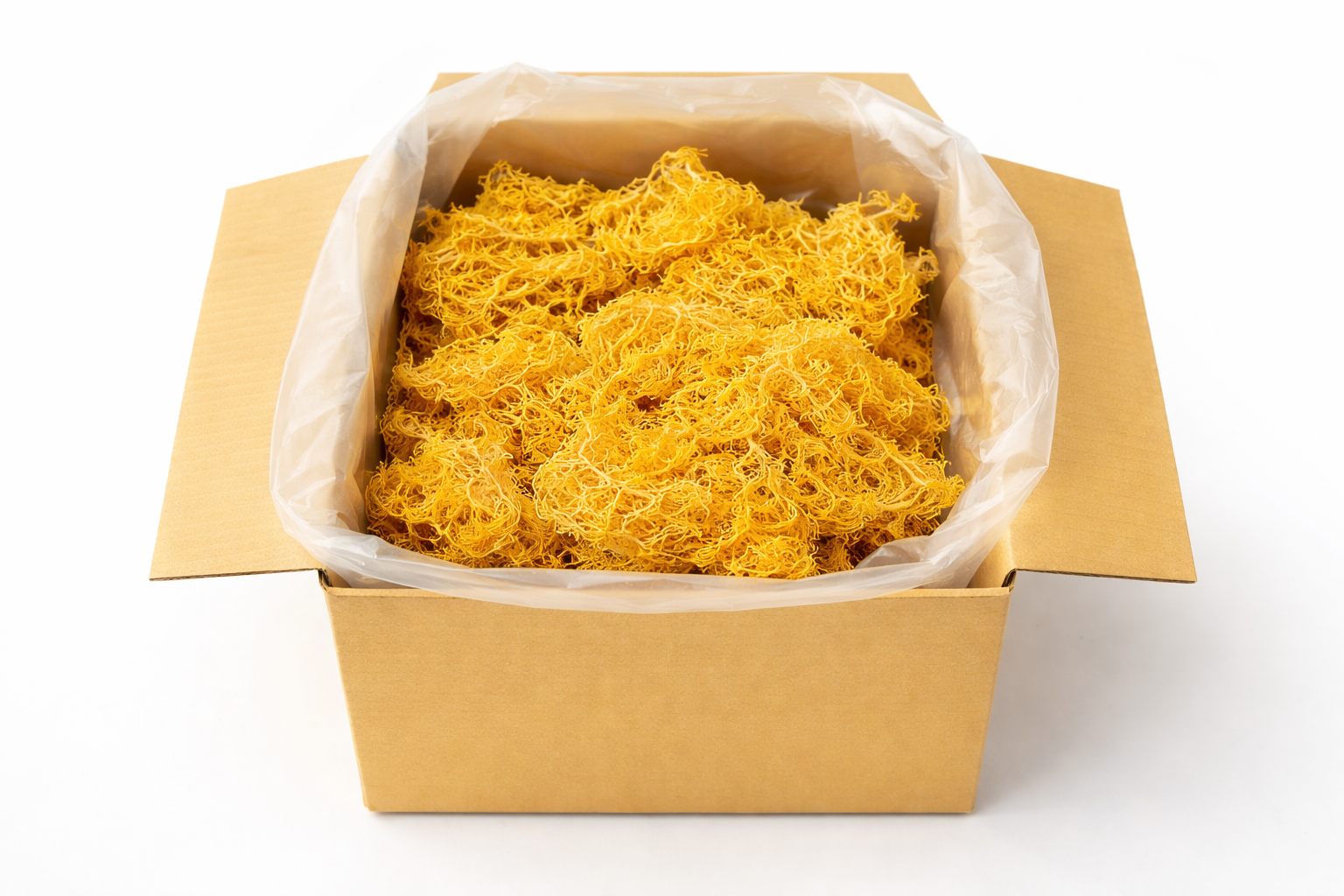 Wholesale Gold Sea Moss – Wildcrafted St Lucia Ocean Harvested | Premi ...